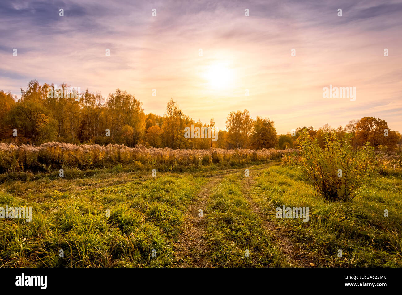 Scene of sunset on a field with grass, trees and dramatic cloudy sky ...