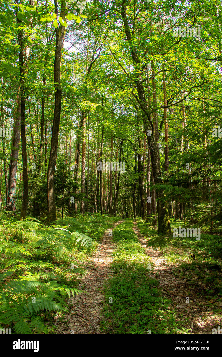 Spring trekking hi-res stock photography and images - Alamy