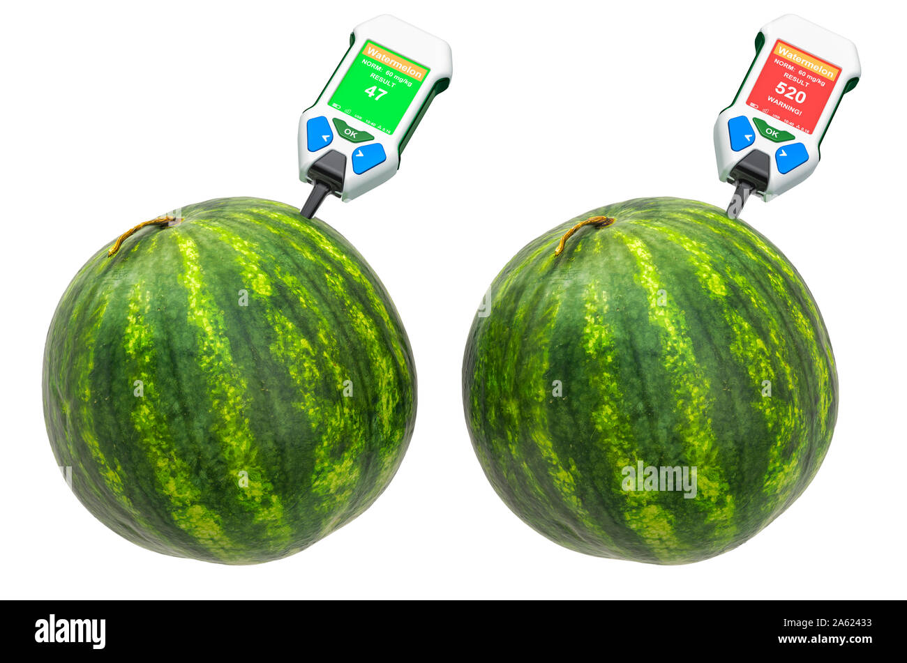 Nitrate testers with watermelons. Measurement of nitrate levels in ...