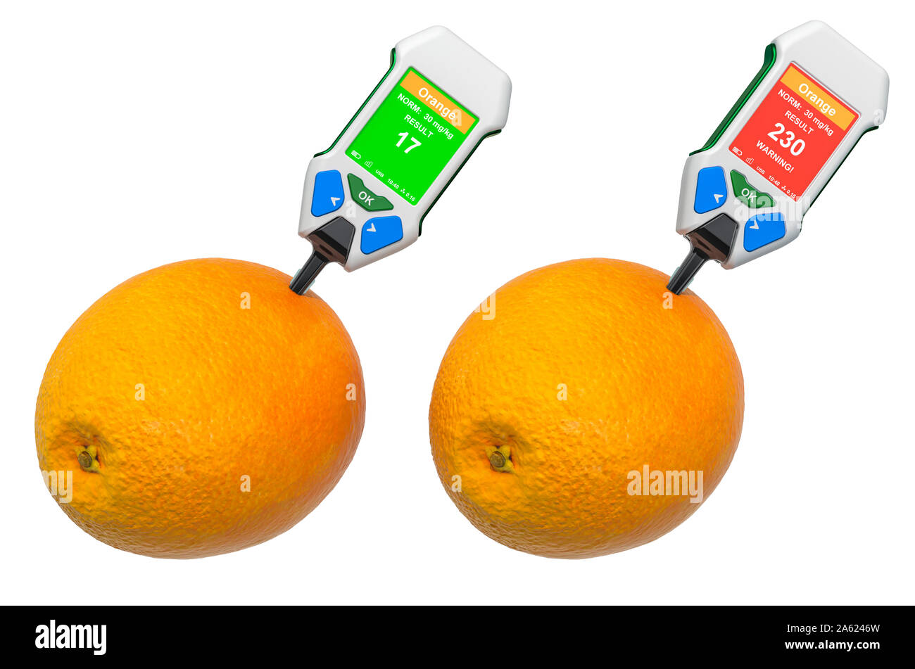 Nitrate testers with oranges. Measurement of nitrate levels in oranges ...