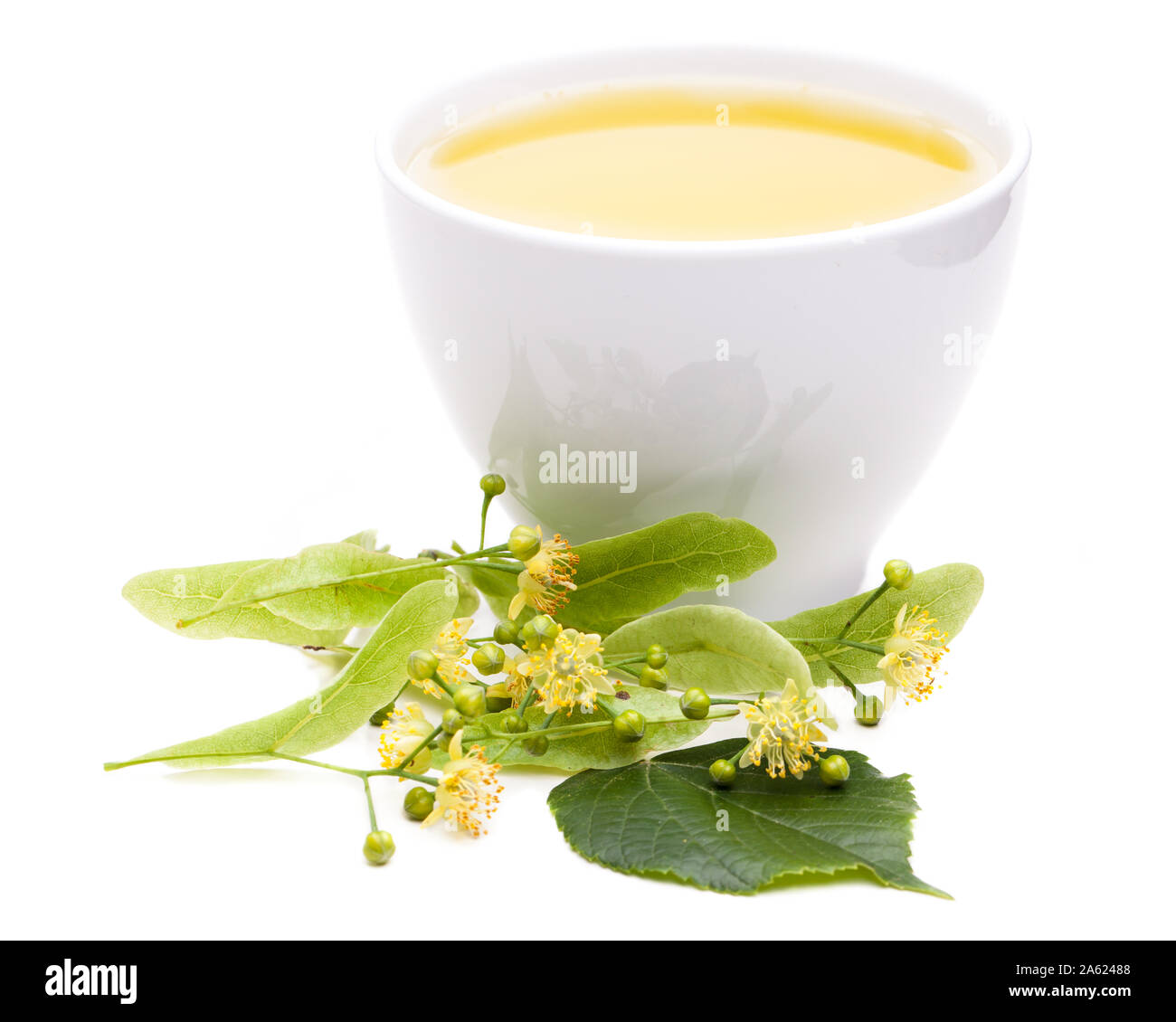 lime blossom tea with fresh flowers on white background Stock Photo - Alamy
