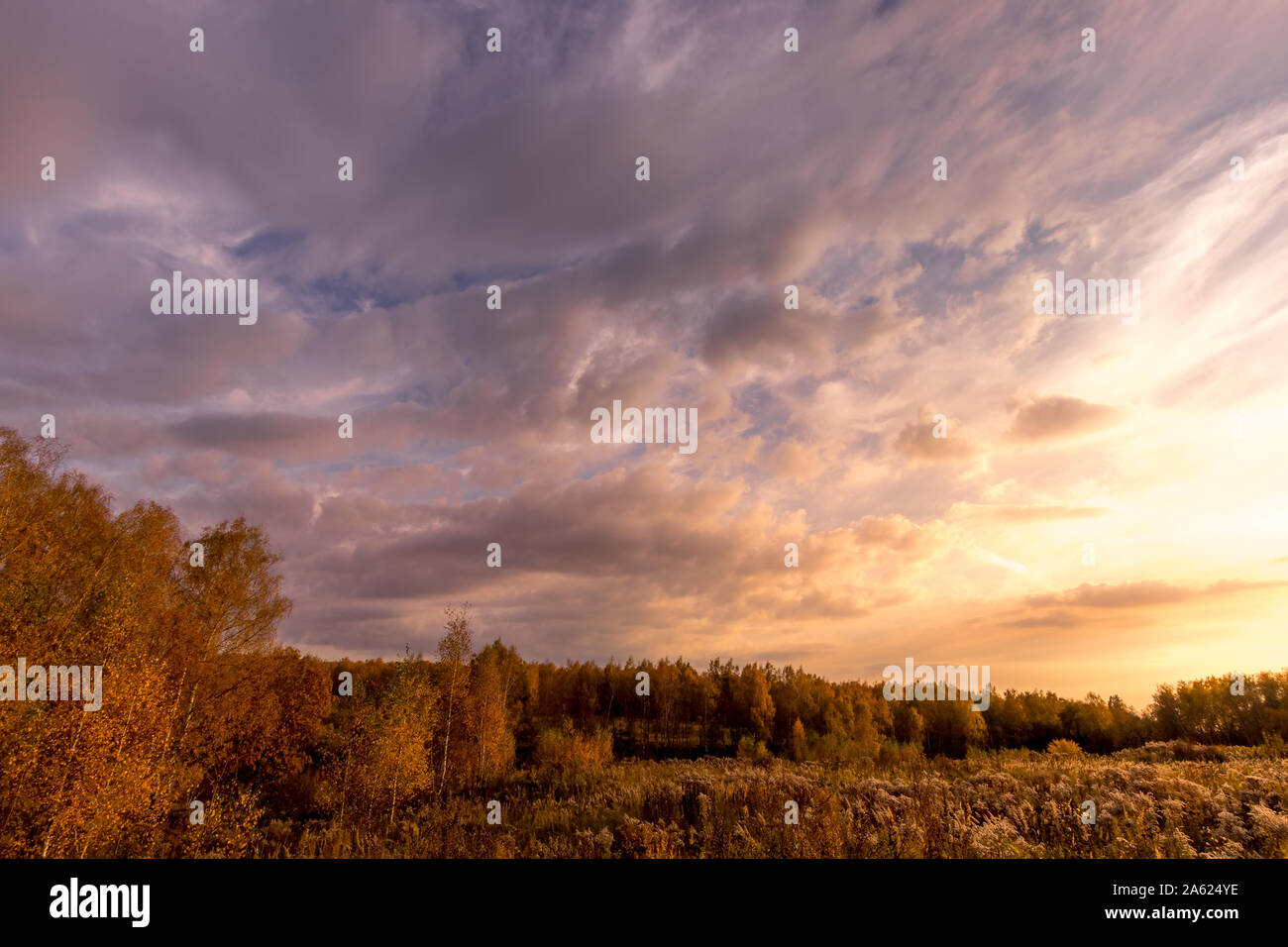 Scene of sunset on a field with grass, trees and dramatic cloudy sky ...