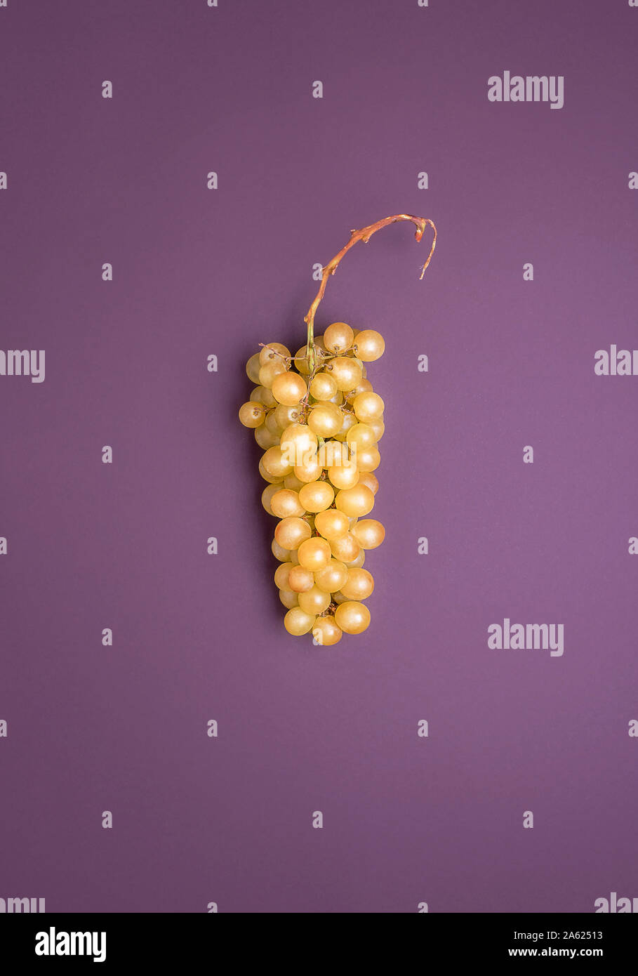 One cluster of white grapes, from Rhine region, Germany, isolated on ...