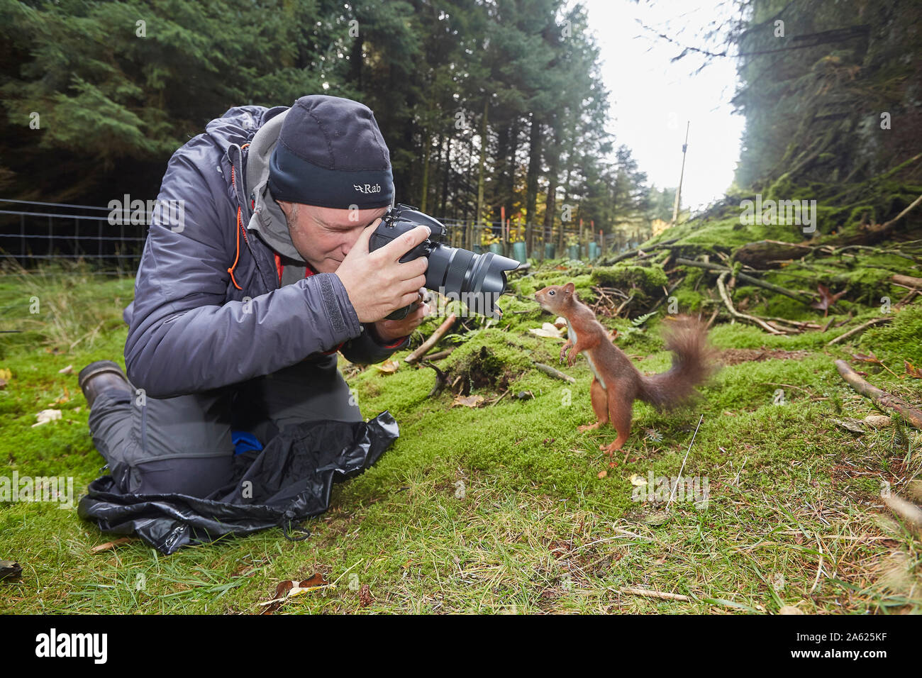 Photographing squirrels hi-res stock photography and images - Alamy