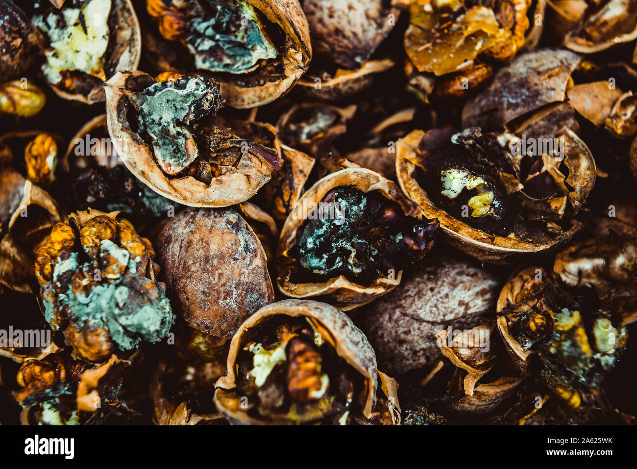 Cracked nuts infected with mold Stock Photo - Alamy