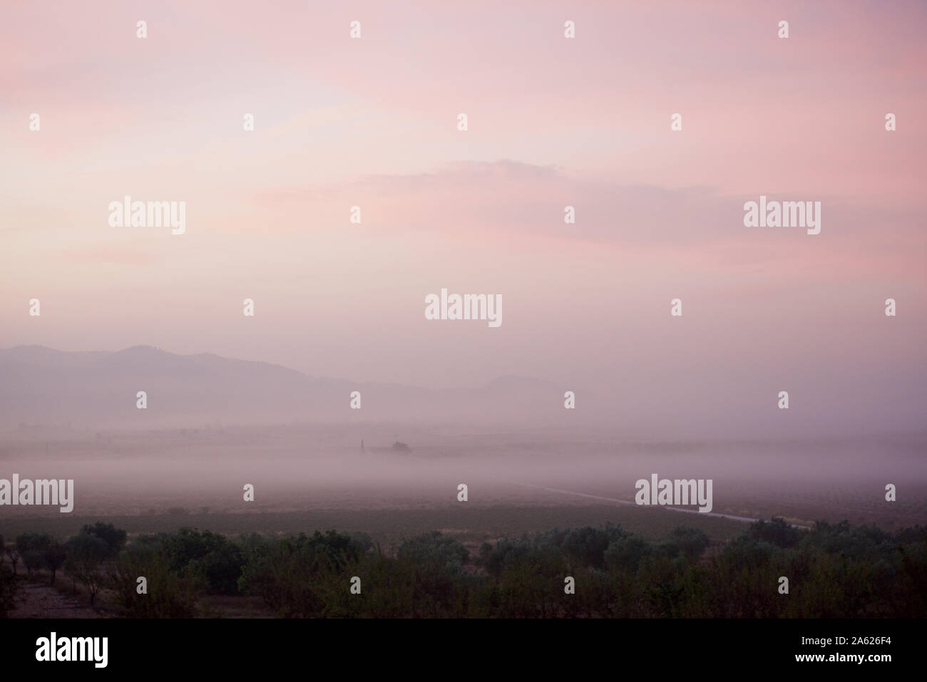 Alicante spain early morning hi-res stock photography and images - Alamy