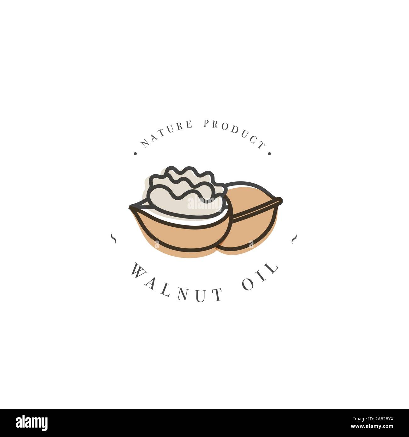 Walnut Logo Vector