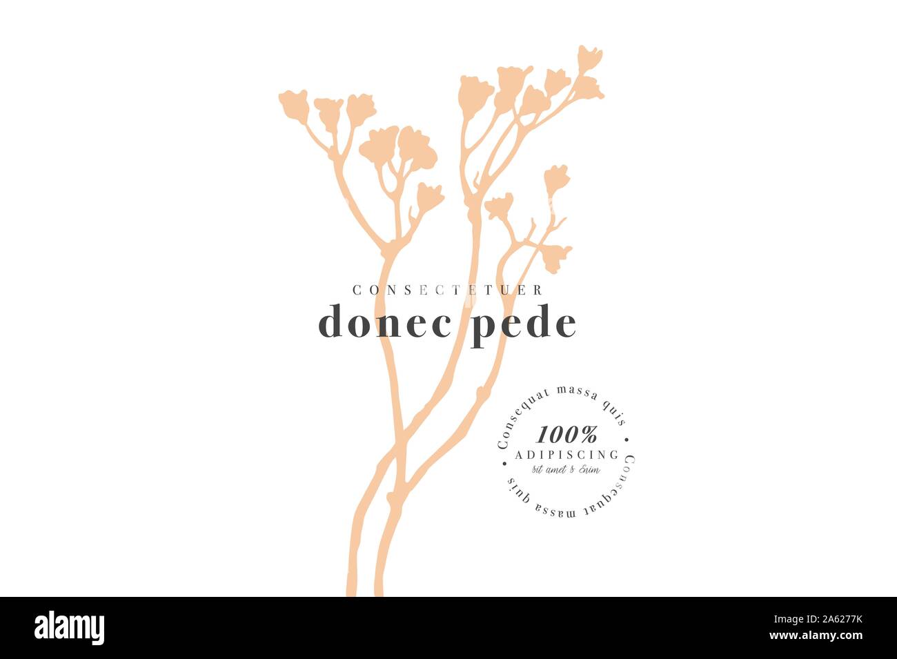 Orga Stock Vector Images - Alamy