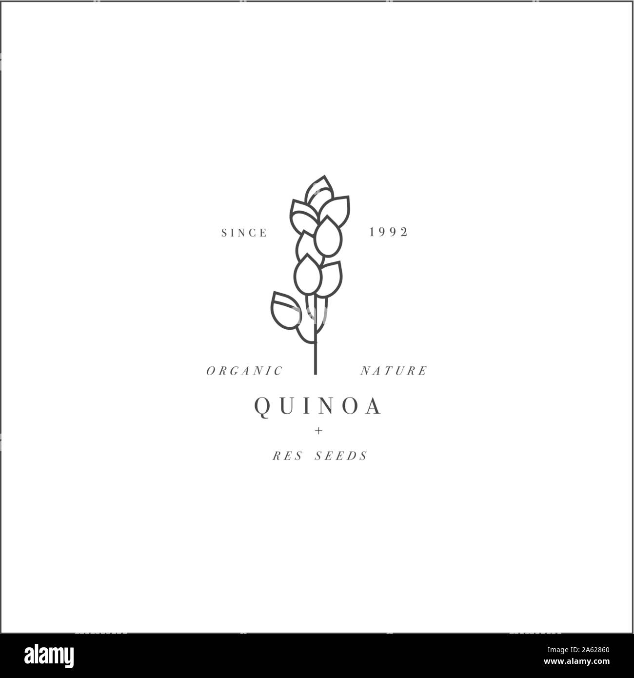 Vector design element and icon in linear style - quinoa - healthy eco ...