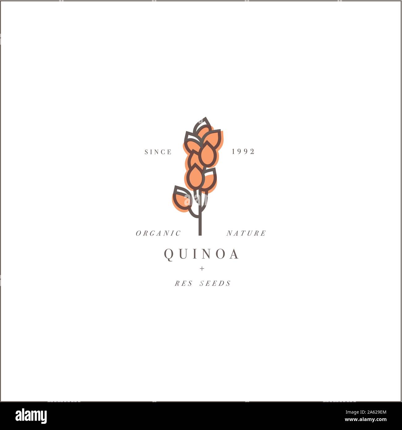 Vector design element and icon in linear style - quinoa - healthy eco ...