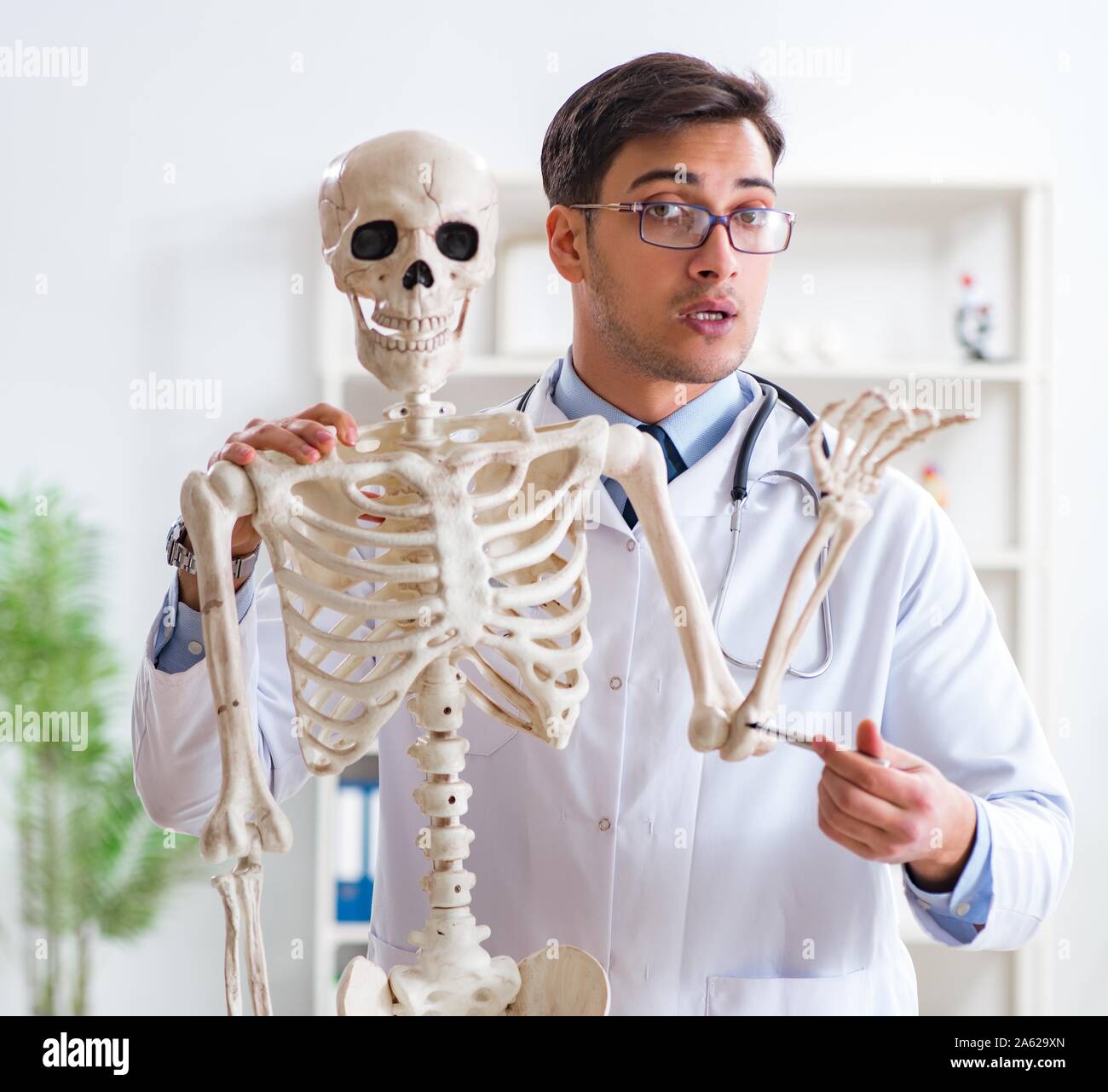 The yong male doctor with skeleton isolated on white Stock Photo - Alamy