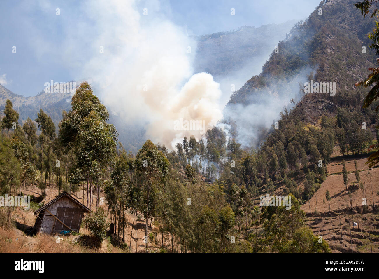 Forest fire in the mountains. Java Island, Indonesia. Natural fire in ...