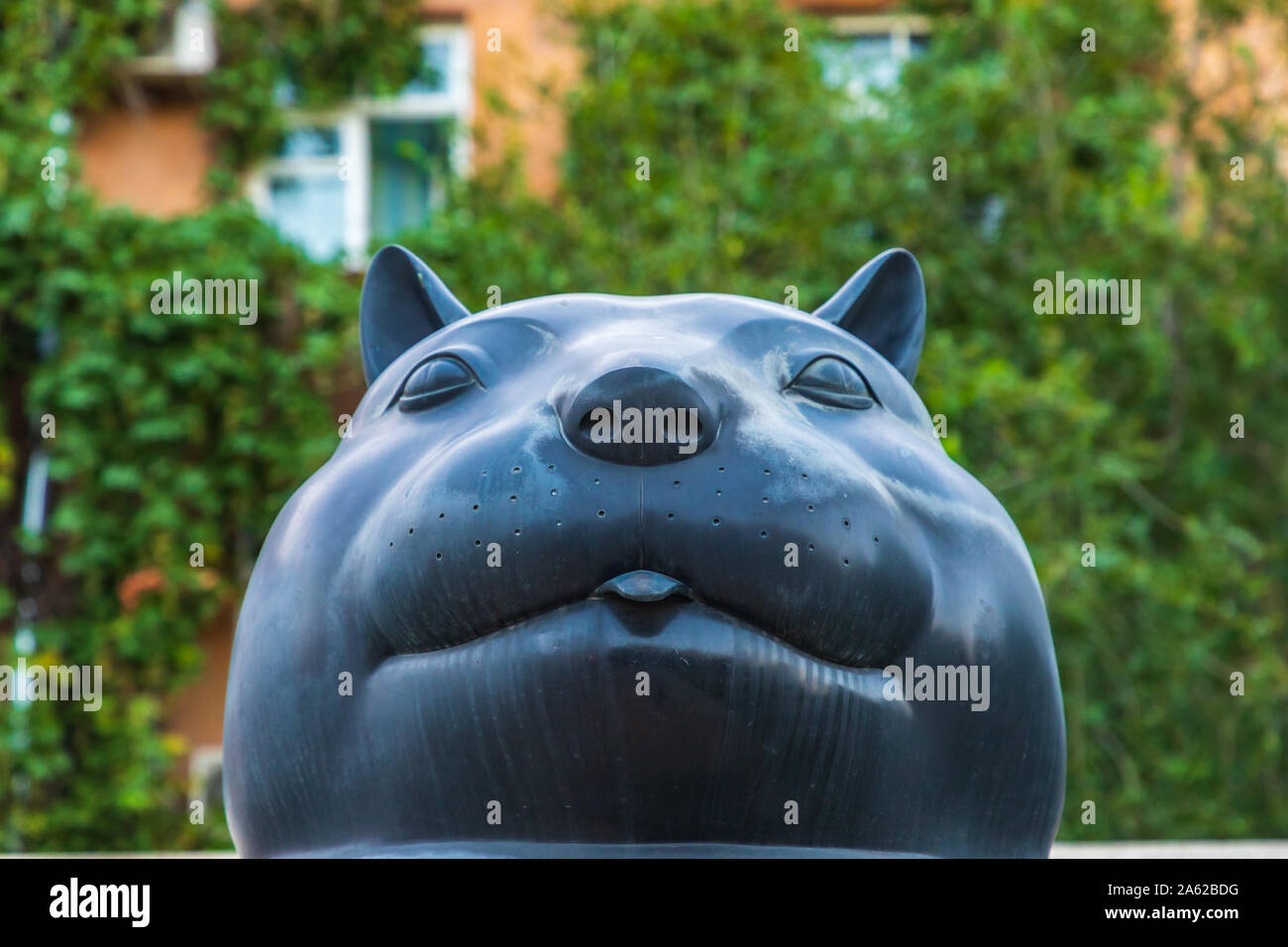 Gatto botero hi-res stock photography and images - Alamy