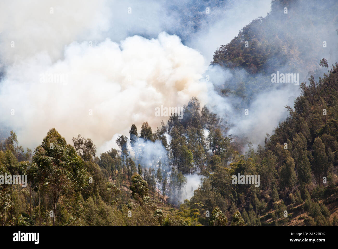 Indonesia wildfire hi-res stock photography and images - Alamy