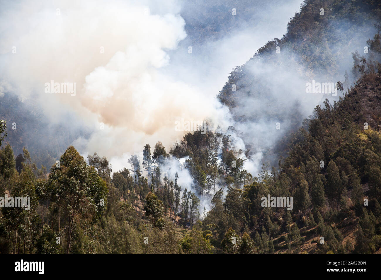 fire in mountain forest. aerial view forest fire and smoke on slopes ...