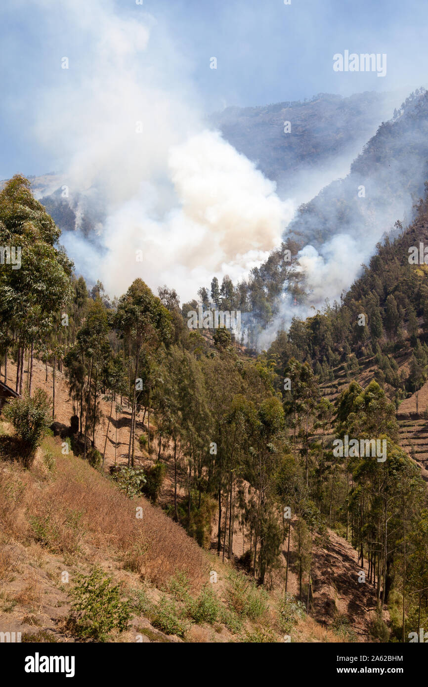 Conflagration island hi-res stock photography and images - Alamy