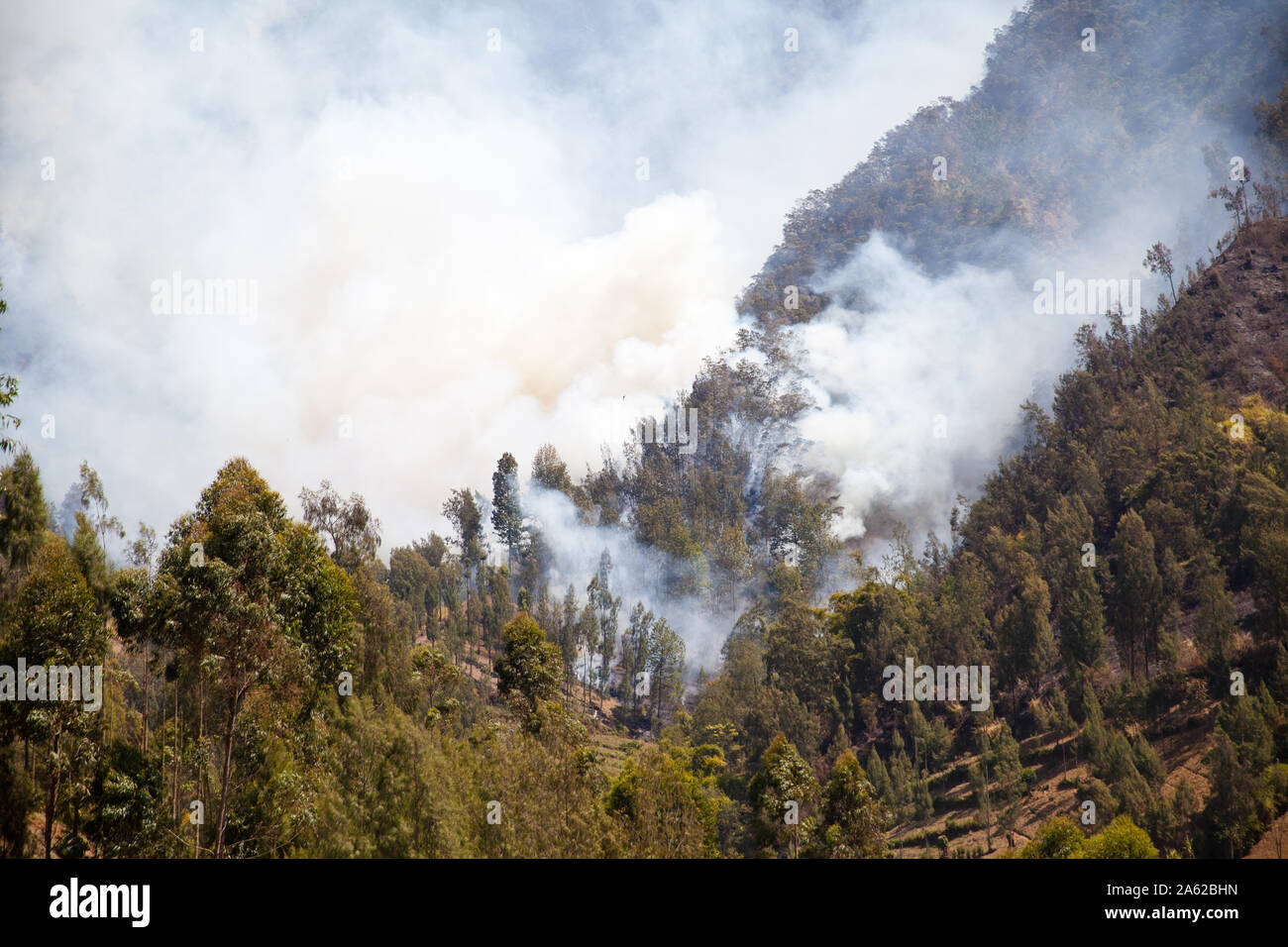 fire in mountain forest. aerial view forest fire and smoke on slopes ...
