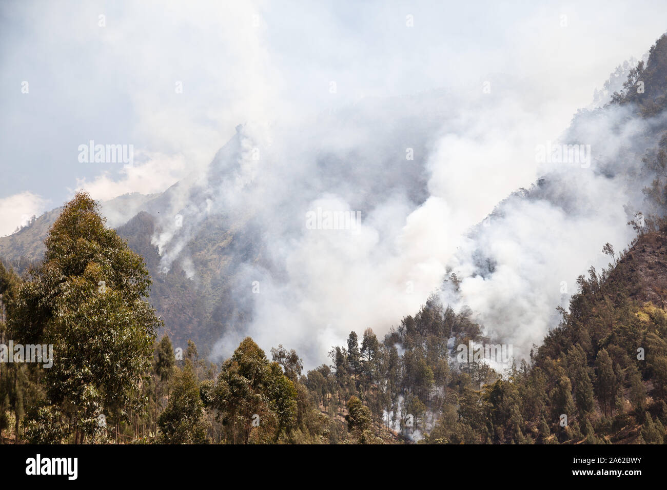 Indonesia Wildfire High Resolution Stock Photography and Images - Alamy