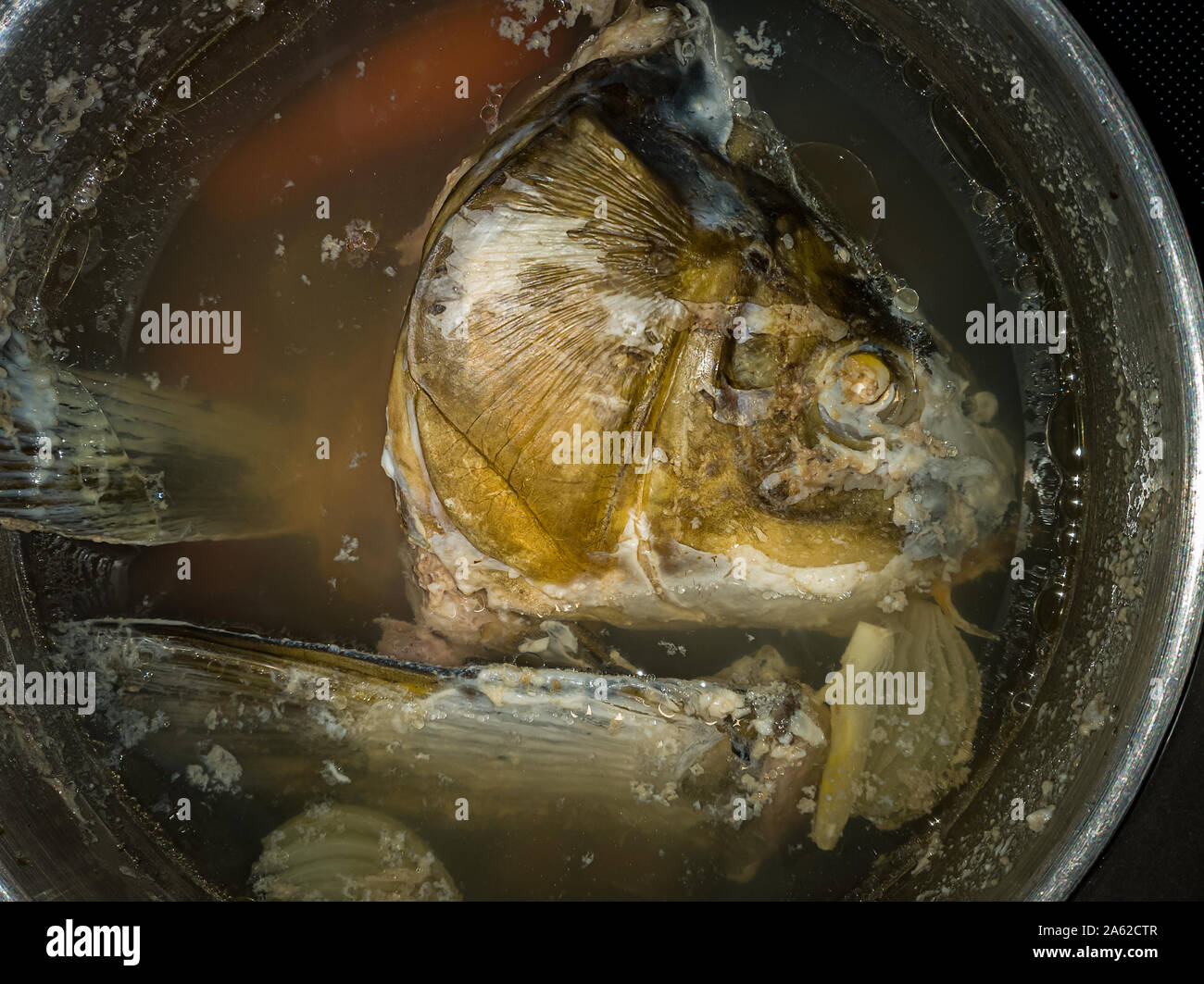 Stock fish hi-res stock photography and images - Alamy