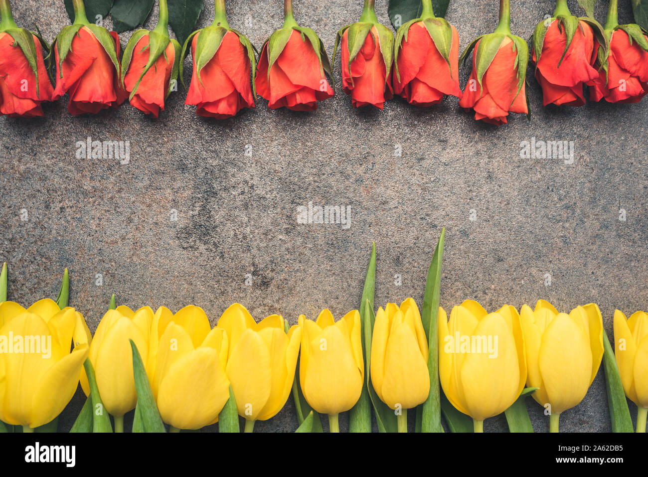 Beautiful greeting cards in row hi-res stock photography and images - Alamy