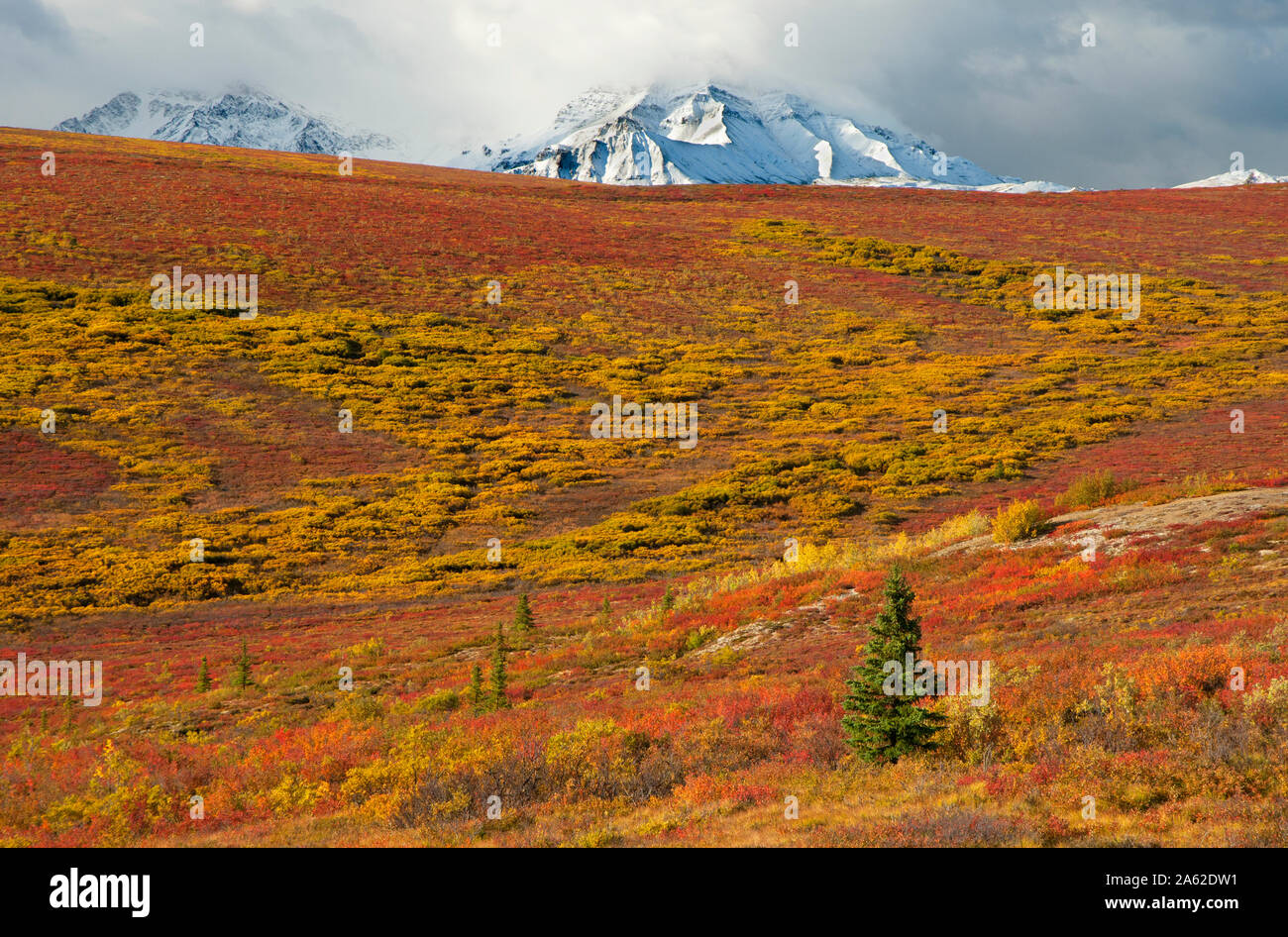 Sable Pass High Resolution Stock Photography and Images - Alamy