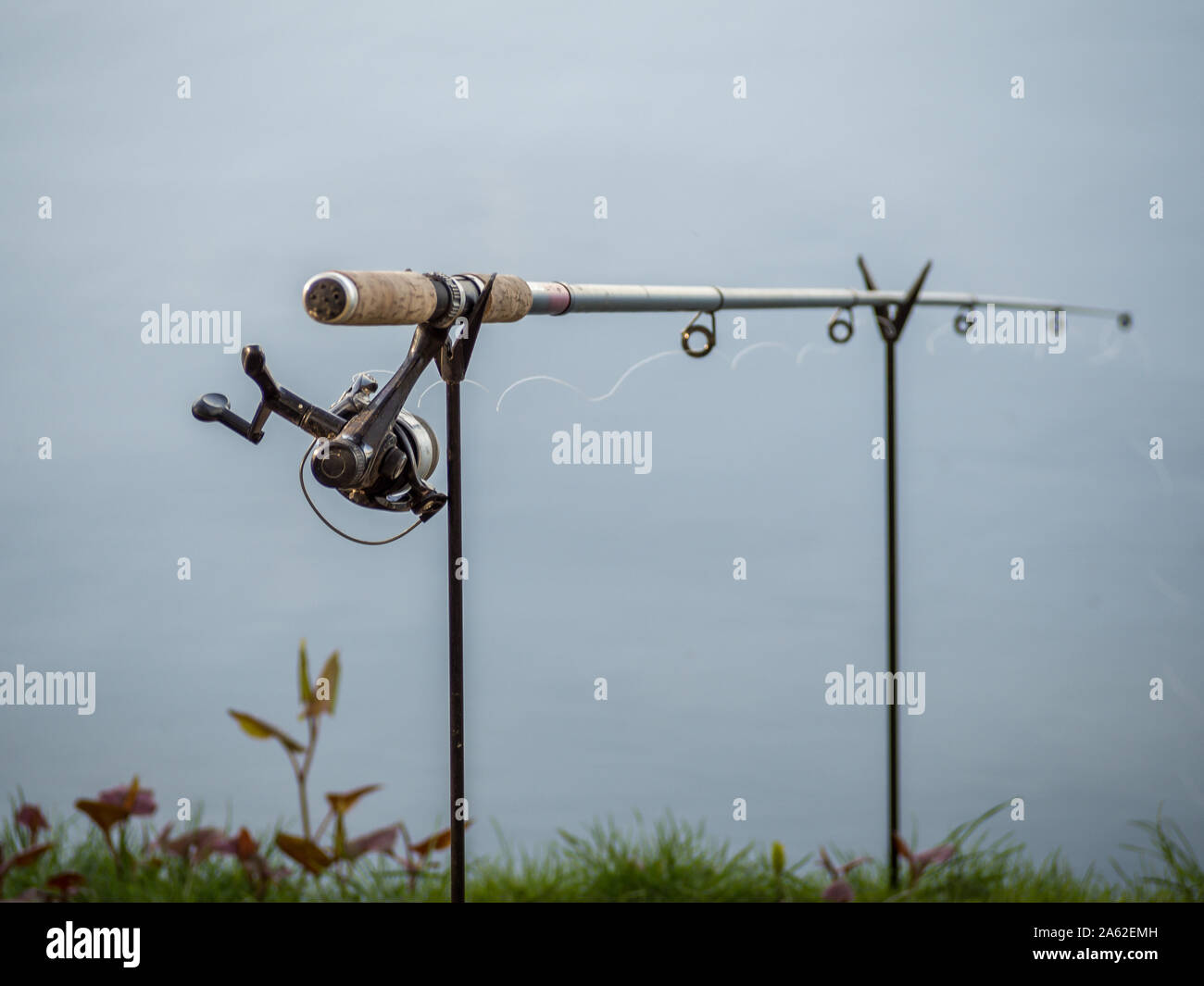 Rod licence hi-res stock photography and images - Alamy