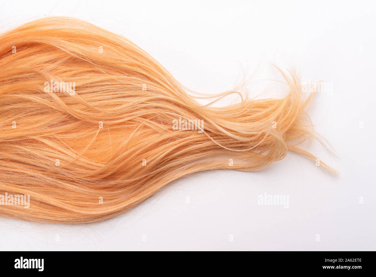 Human, natural honey-colored blond hair on white isolated background ...