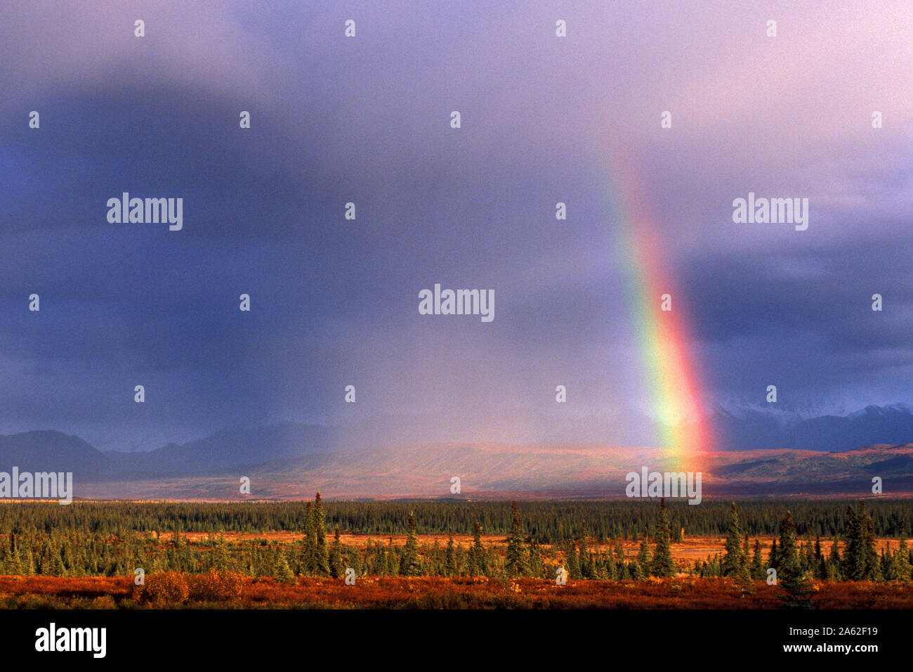 North America; United States; Alaska; Alaska Range Mountains; Denali ...