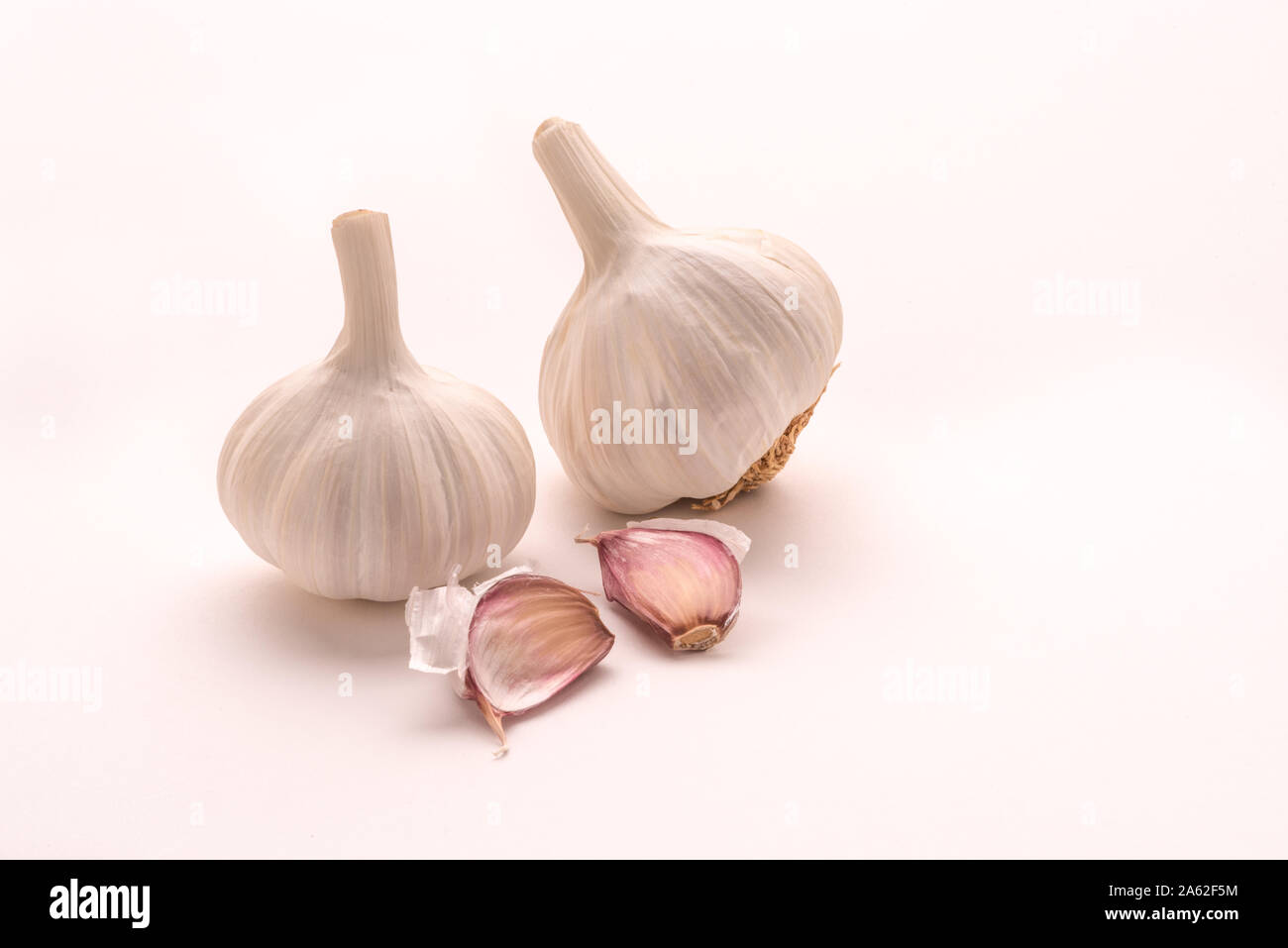 A head of fresh garlic with cloves isolated on a white background. The ...