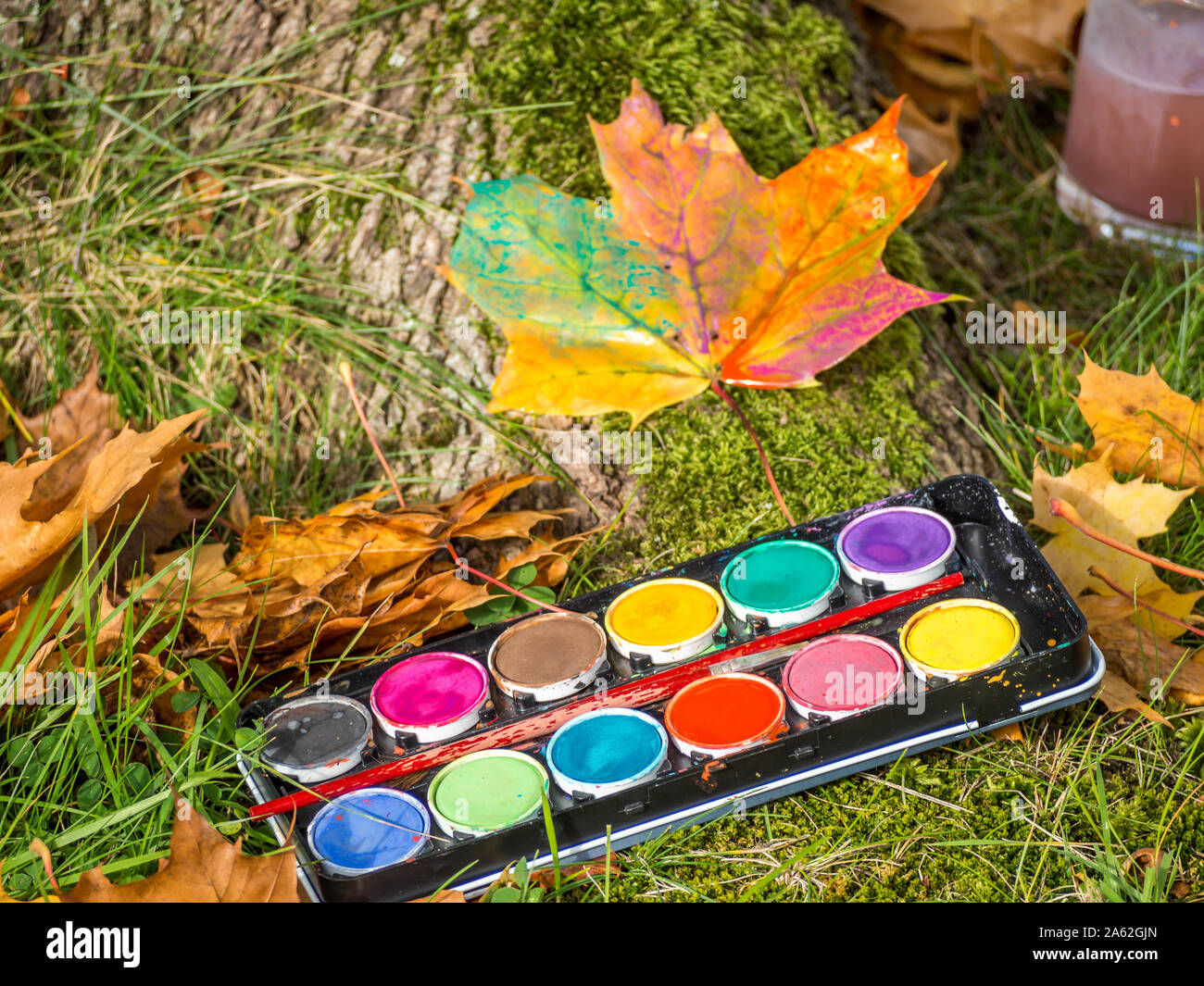 paint in nature and enjoy the fall Stock Photo - Alamy