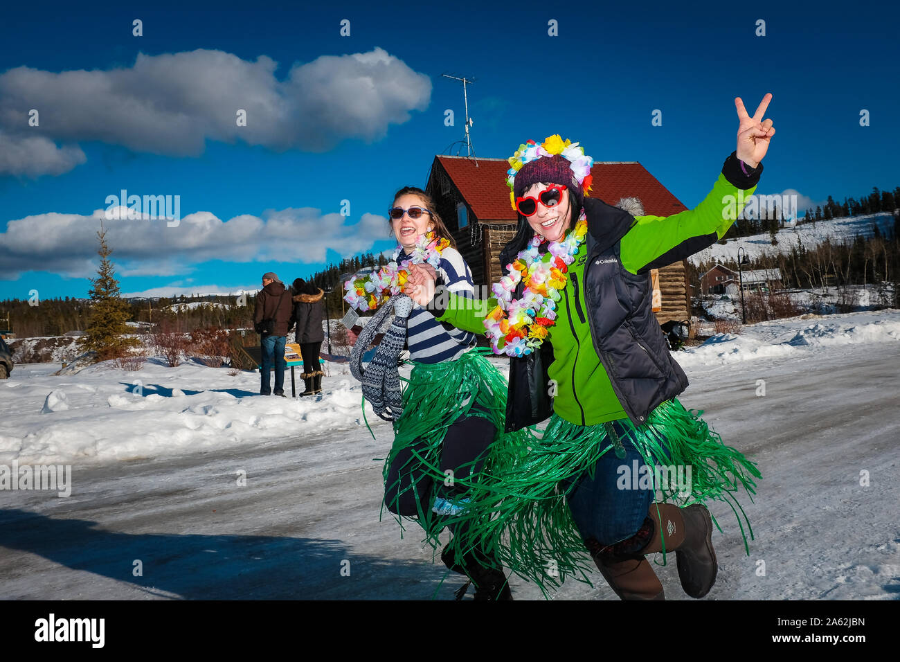 Swainson's Hawk with raptor chick at Grasslands National Park ...