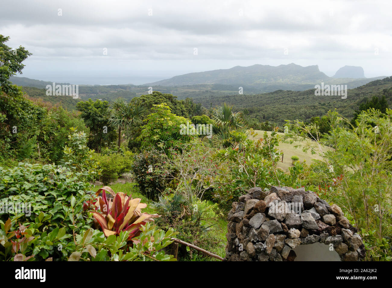 Mauritius landscape - rainforest landscapes in Black River Gorges ...