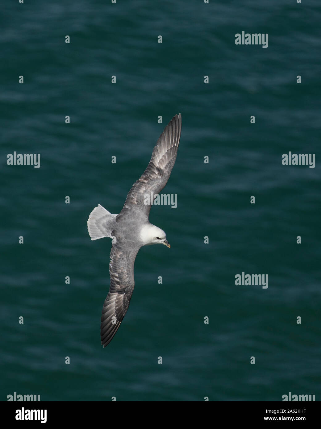 Flight over the top hi-res stock photography and images - Alamy