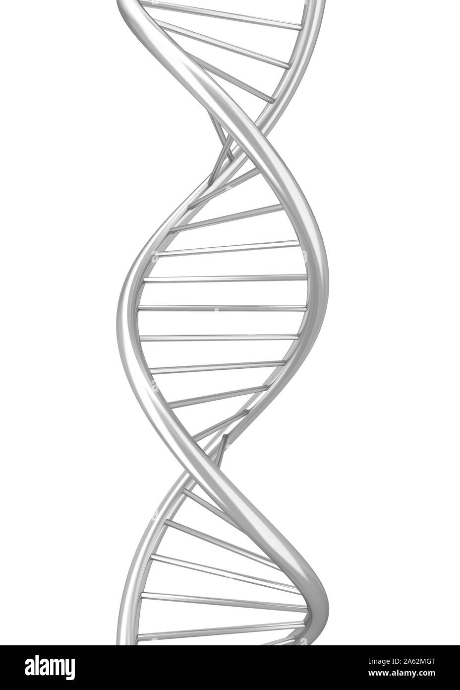 Dna Strand And White Background Black and White Stock Photos & Images ...