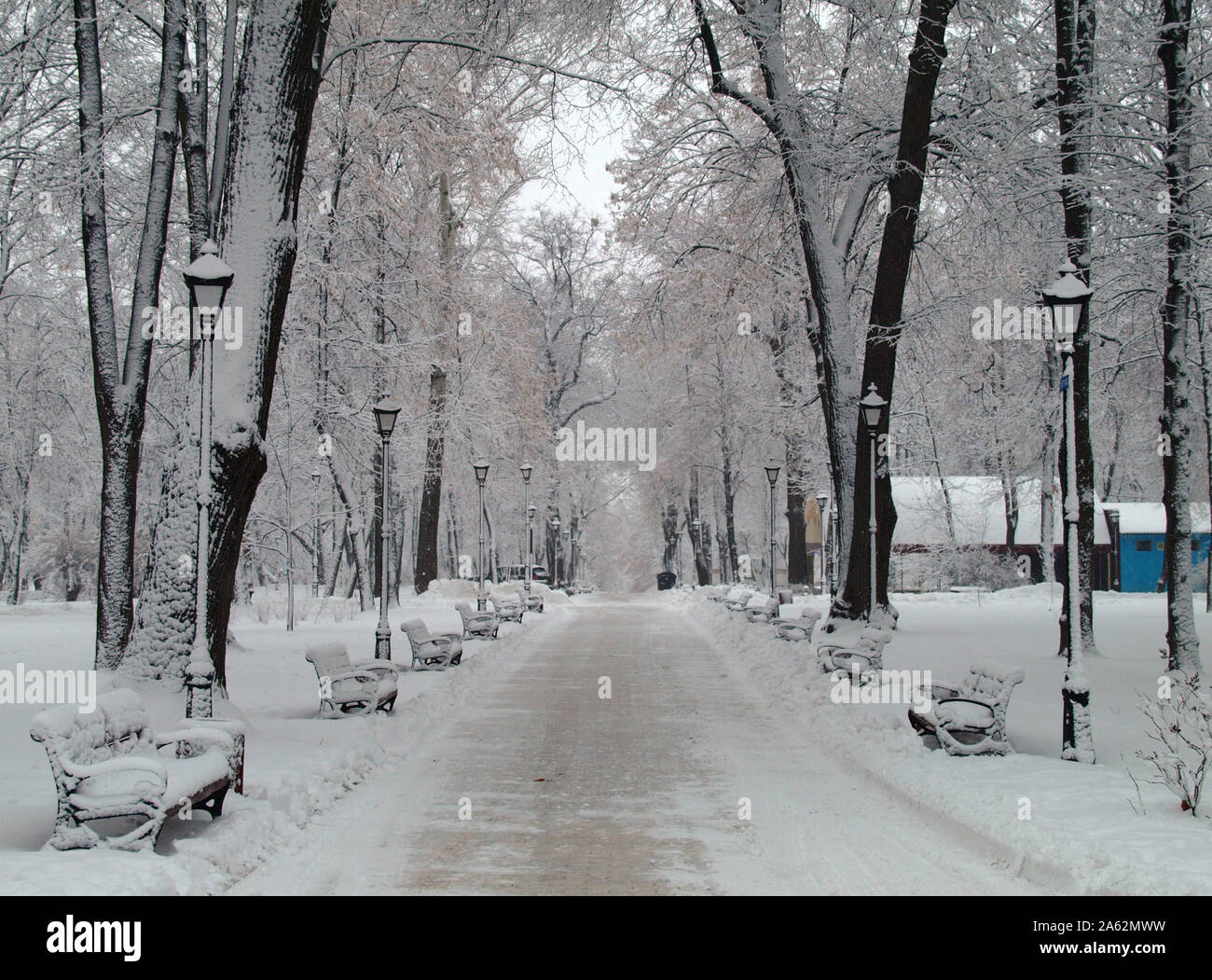 Snow covered alley with benches and lanterns in the city park in the ...