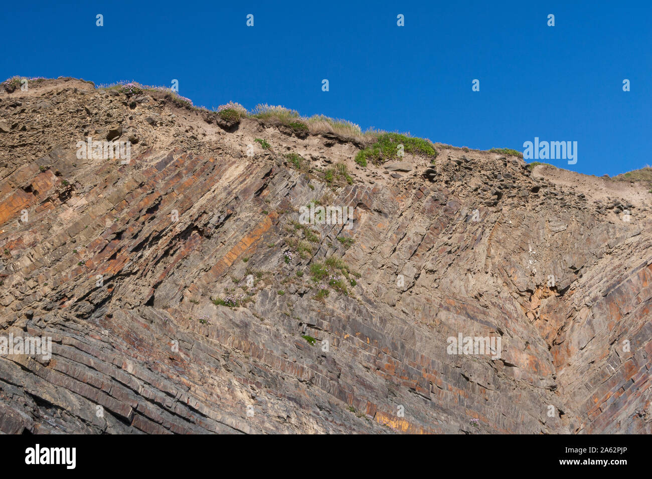 cross section of cliff geology at Weclombe mouth beach in devon ...