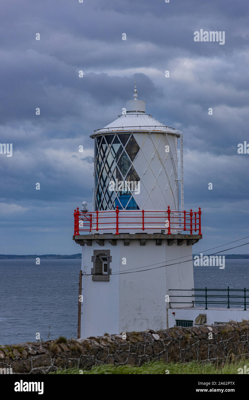Sea whitehead hi-res stock photography and images - Alamy