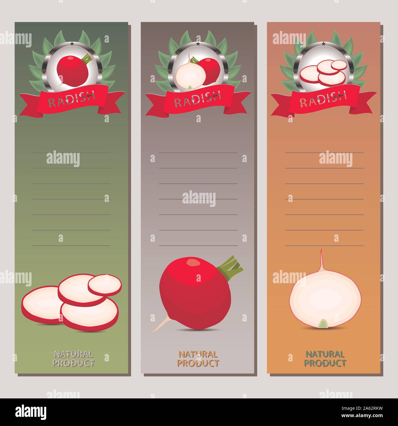 Vector icon illustration logo for whole ripe vegetable red radish, cut ...