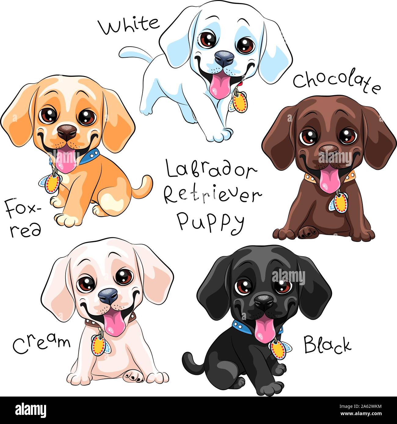 Labrador Dog Clipart Cute