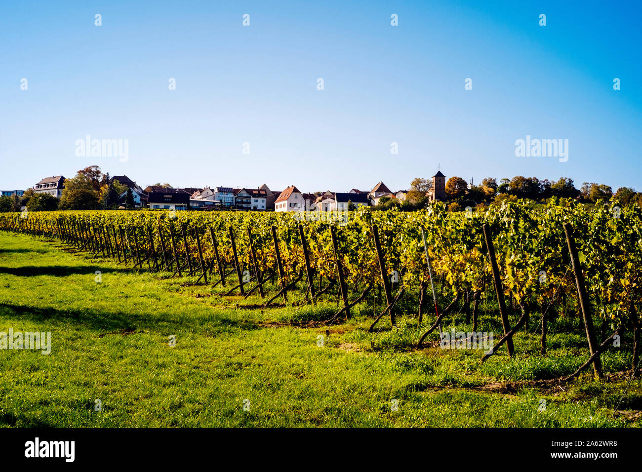 Rotten fruit and painting hi-res stock photography and images - Alamy