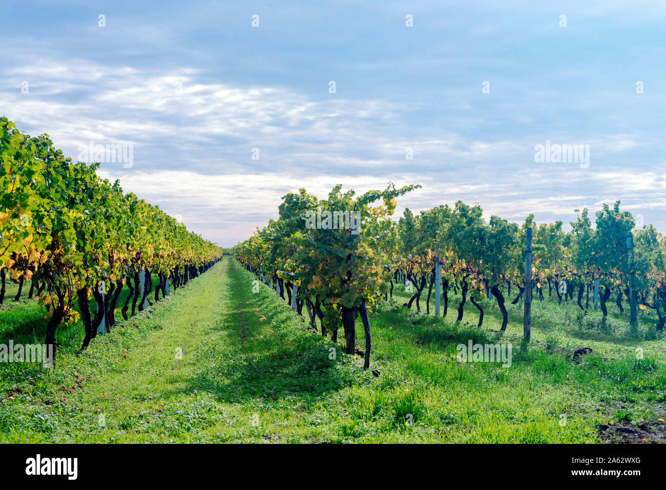 September wald hi-res stock photography and images - Alamy