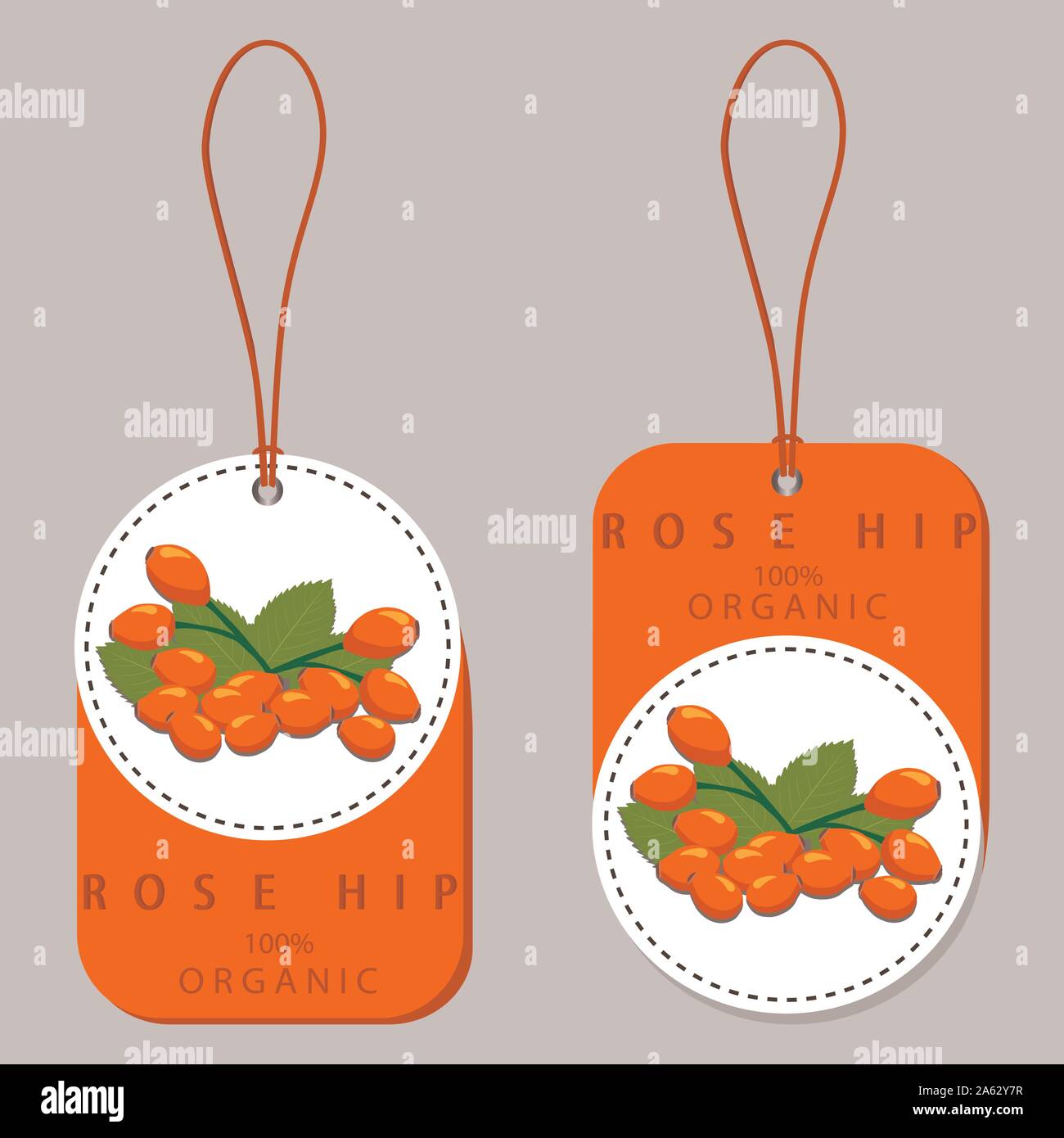 Abstract vector icon illustration logo for whole ripe rose hips branch ...