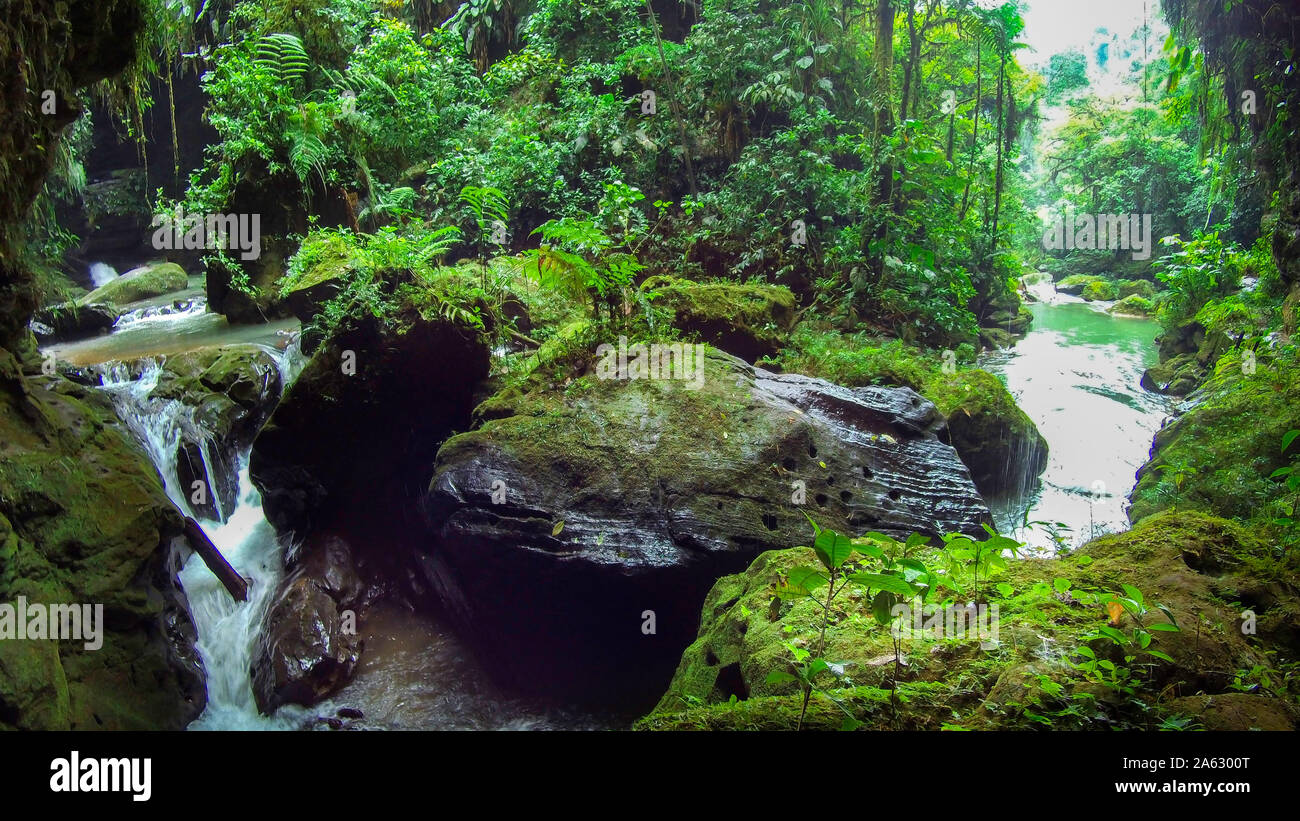 Amazon rainforest landscape waterfall hi-res stock photography and ...
