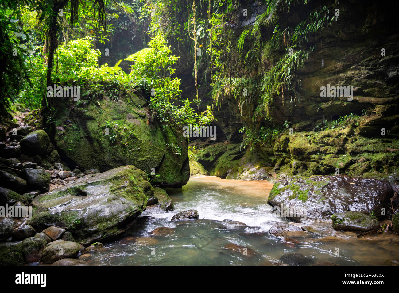 Amazon rainforest landscape waterfall hi-res stock photography and ...