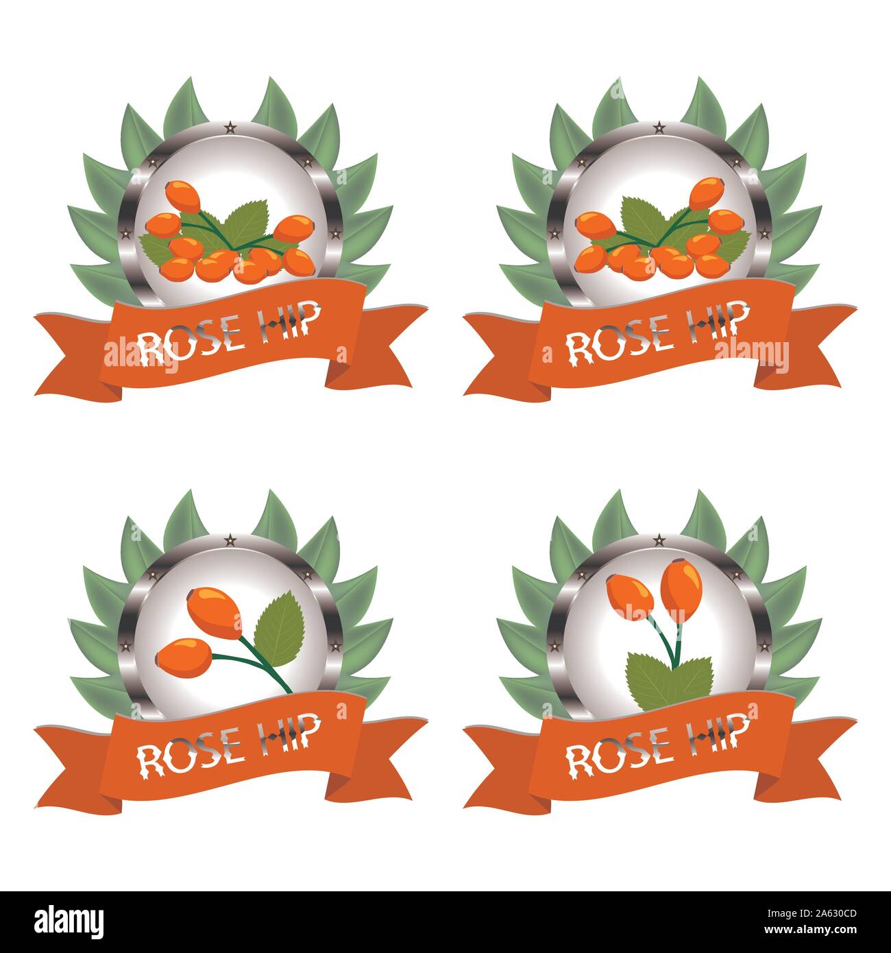 Abstract vector icon illustration logo for whole ripe rose hips branch ...