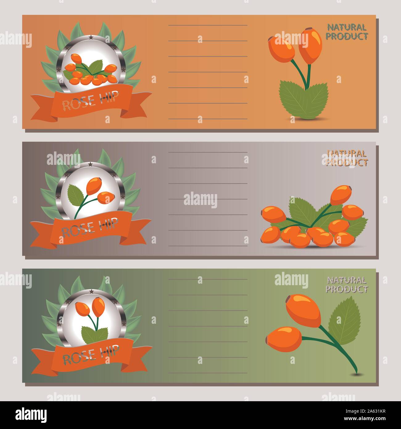 Abstract vector icon illustration logo for whole ripe rose hips branch ...