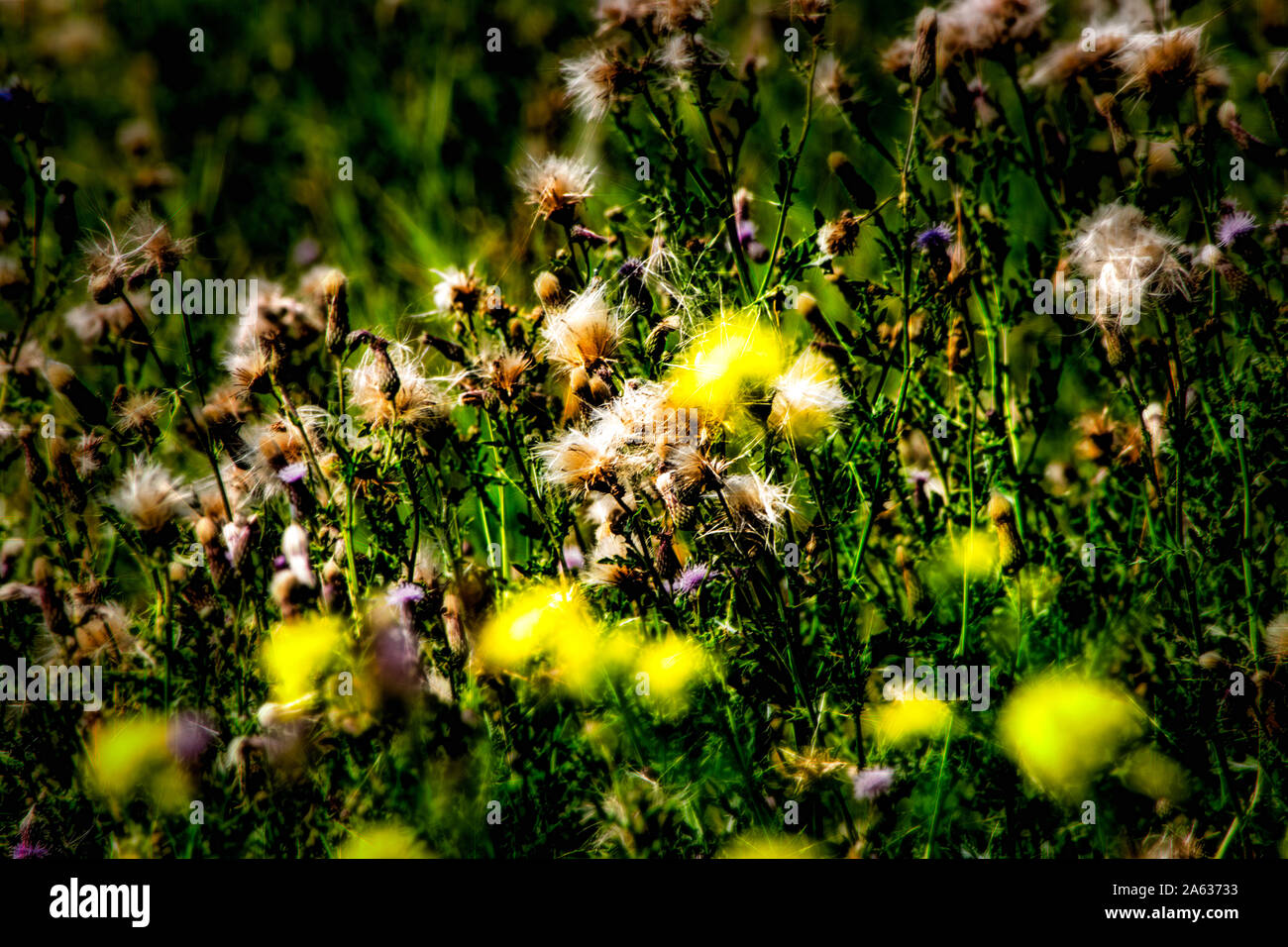 Urban fall hi-res stock photography and images - Alamy