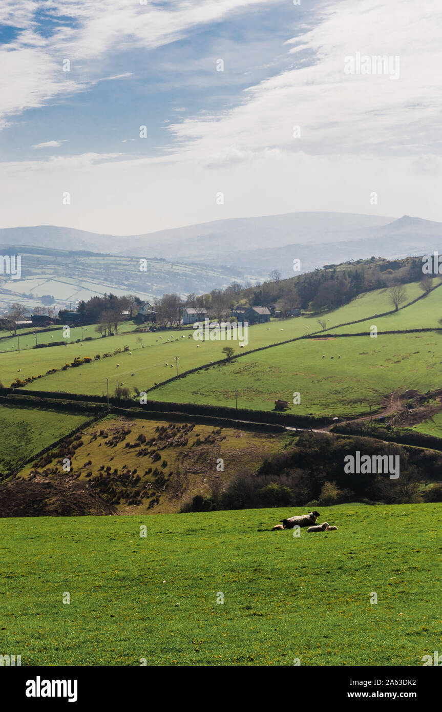 Scenic views on Causeway coastal route in Northern Ireland.Rolling ...