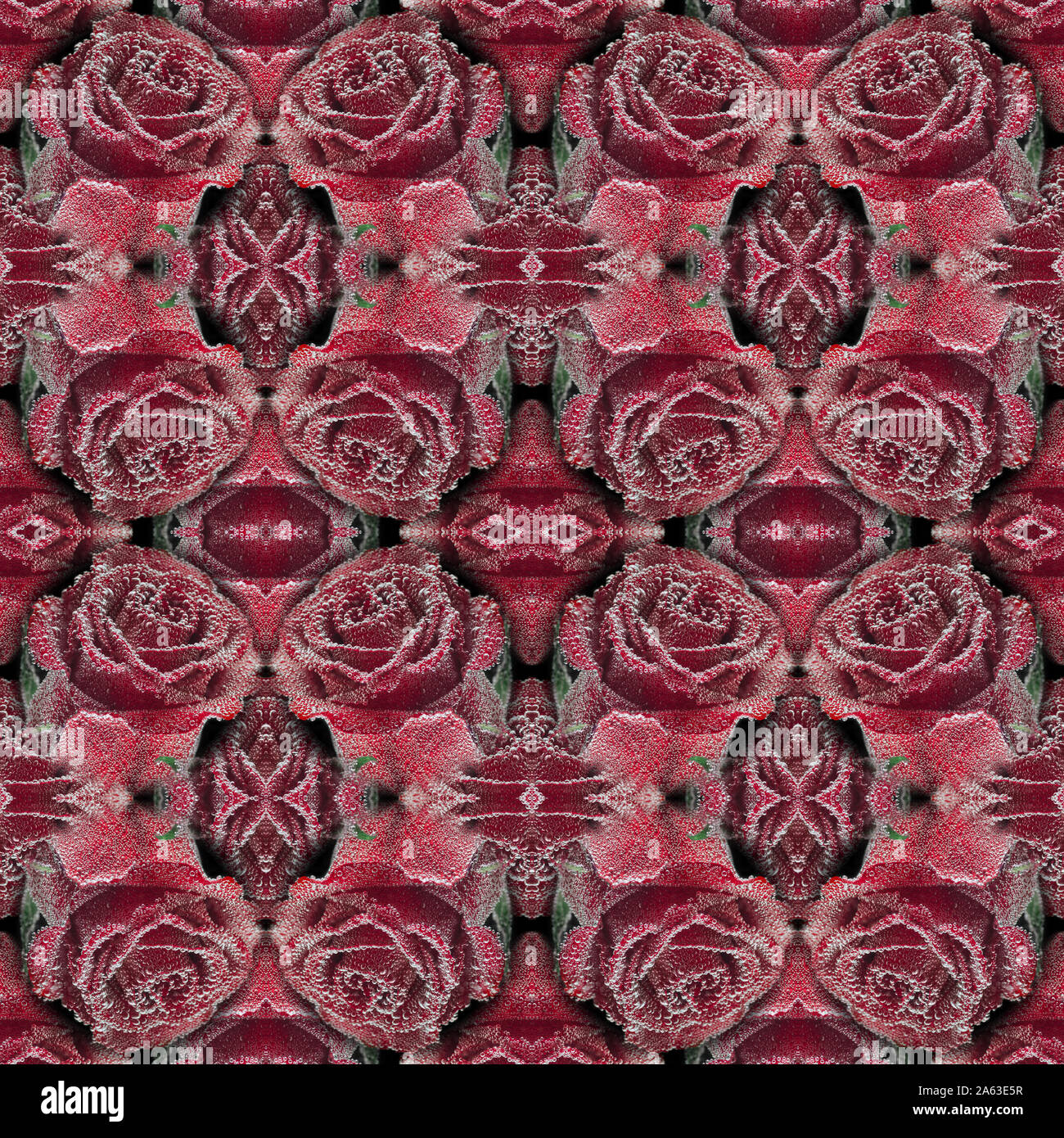 Seamless pattern red roses hi-res stock photography and images - Alamy