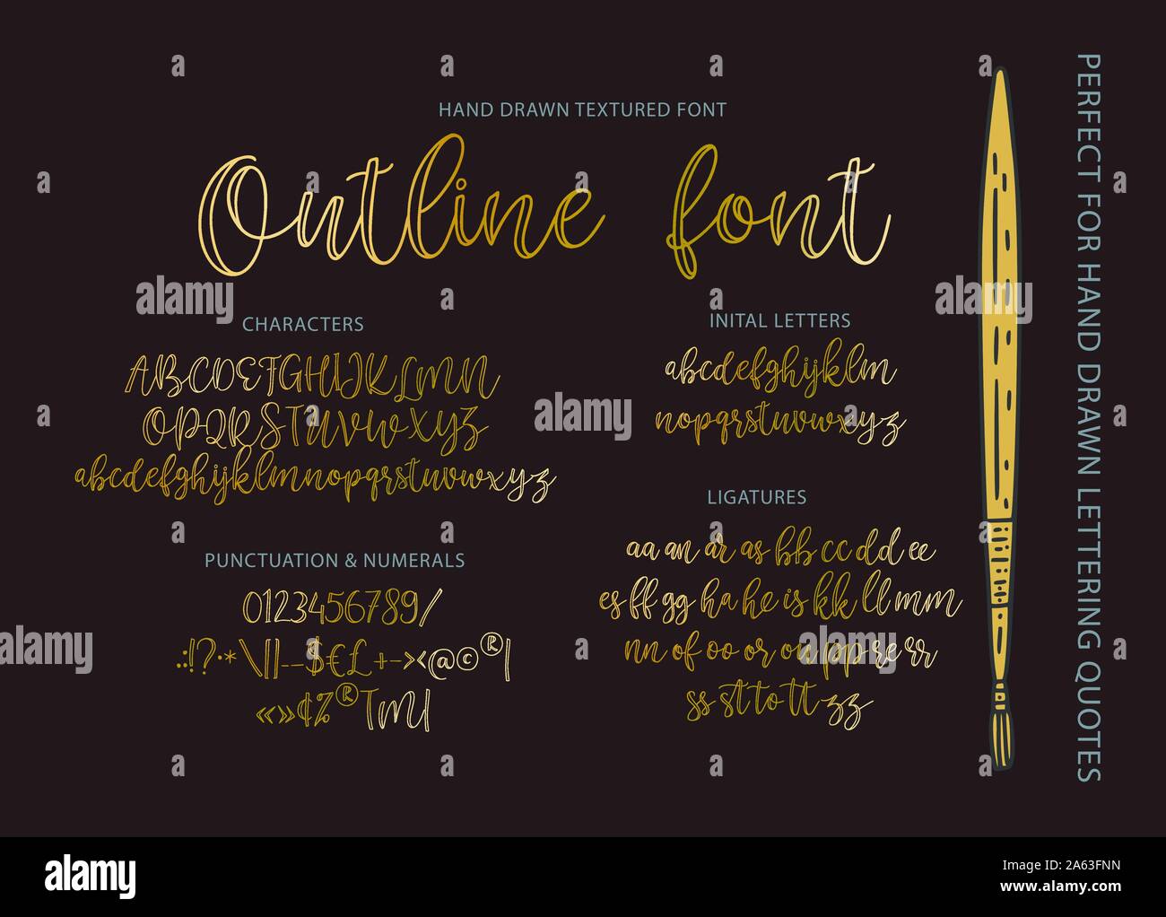 Vector Alphabet Typeface Hand Drawn Modern Typeface Outline Letters